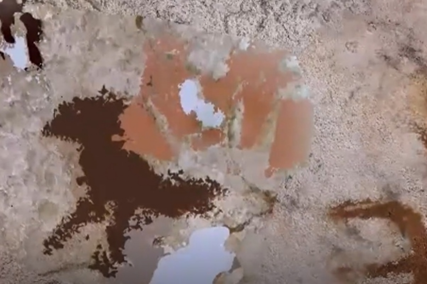 World's Oldest Rock Art Found in Indonesia | RealClearScience