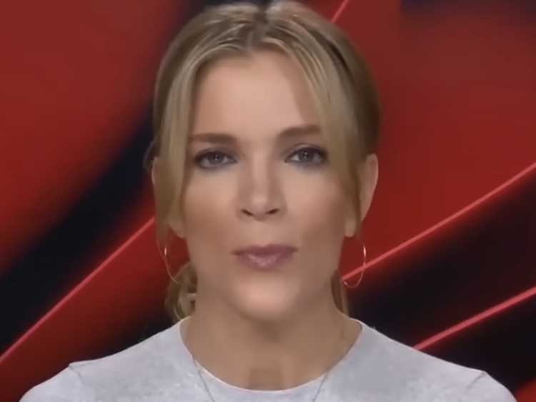 Megyn Kelly on Charging Anti-ICE Church Protesters: This Is What We ...