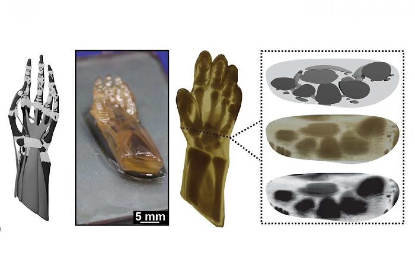 3D Printing Method Makes Realistic Replicas of Body Parts ...