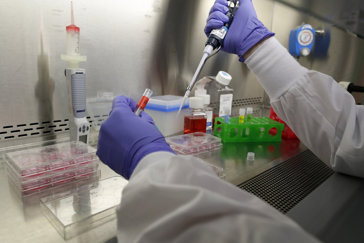 The U.S. Is Leading the Way Towards More Humane Science | RealClearScience