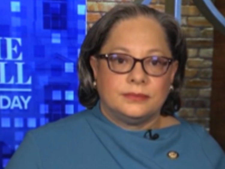 Virginia Democrat Rep. Jennifer McClellan: "All Options On The Table ...