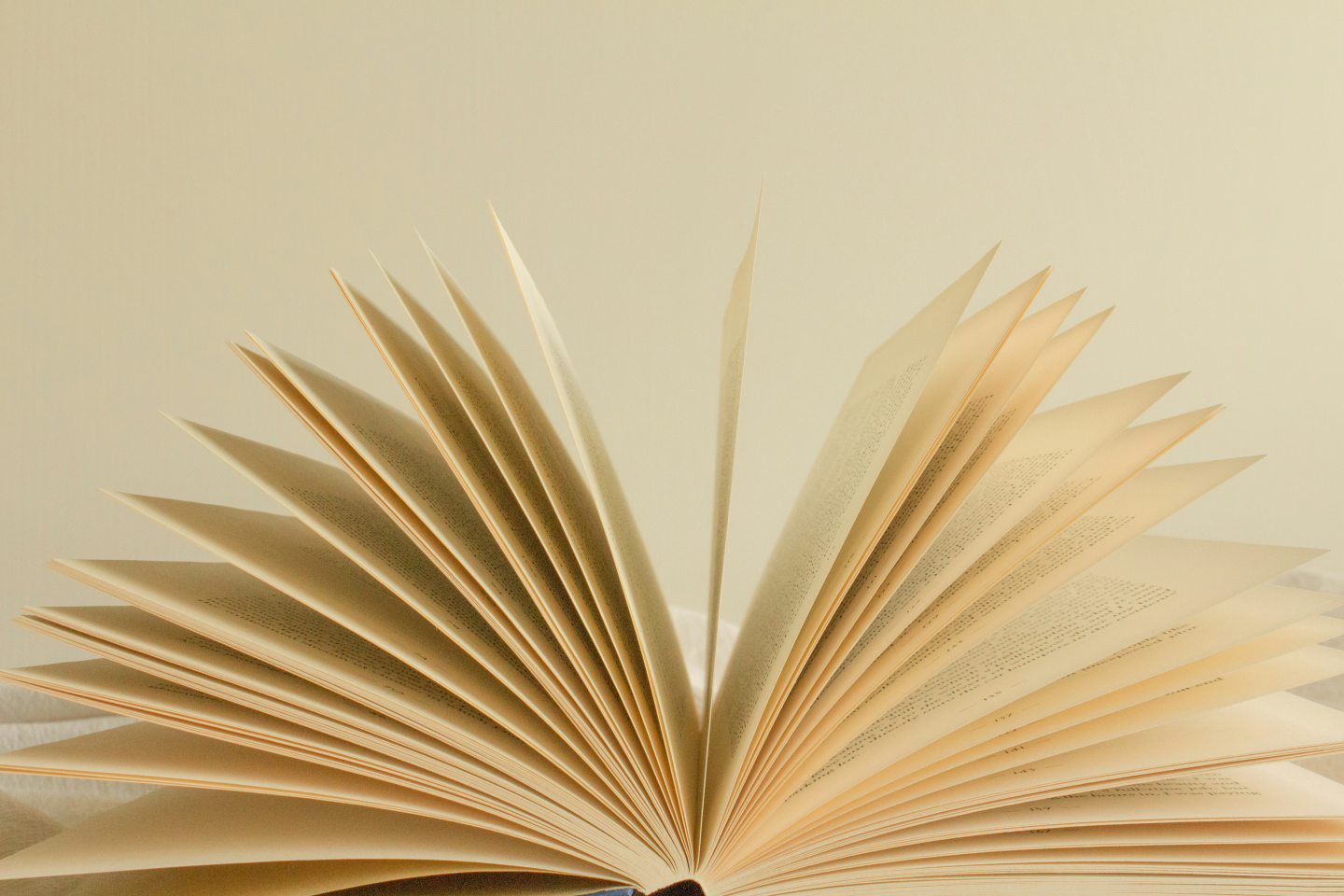 Raise High the Banner for Literary Standards! | RealClearBooks