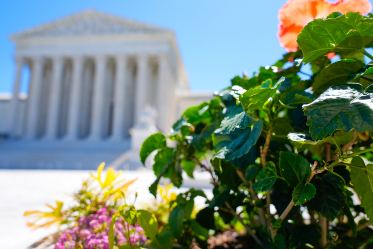 SCOTUS Reverses Inferior Court Supremacy in Alabama | RealClearPolitics