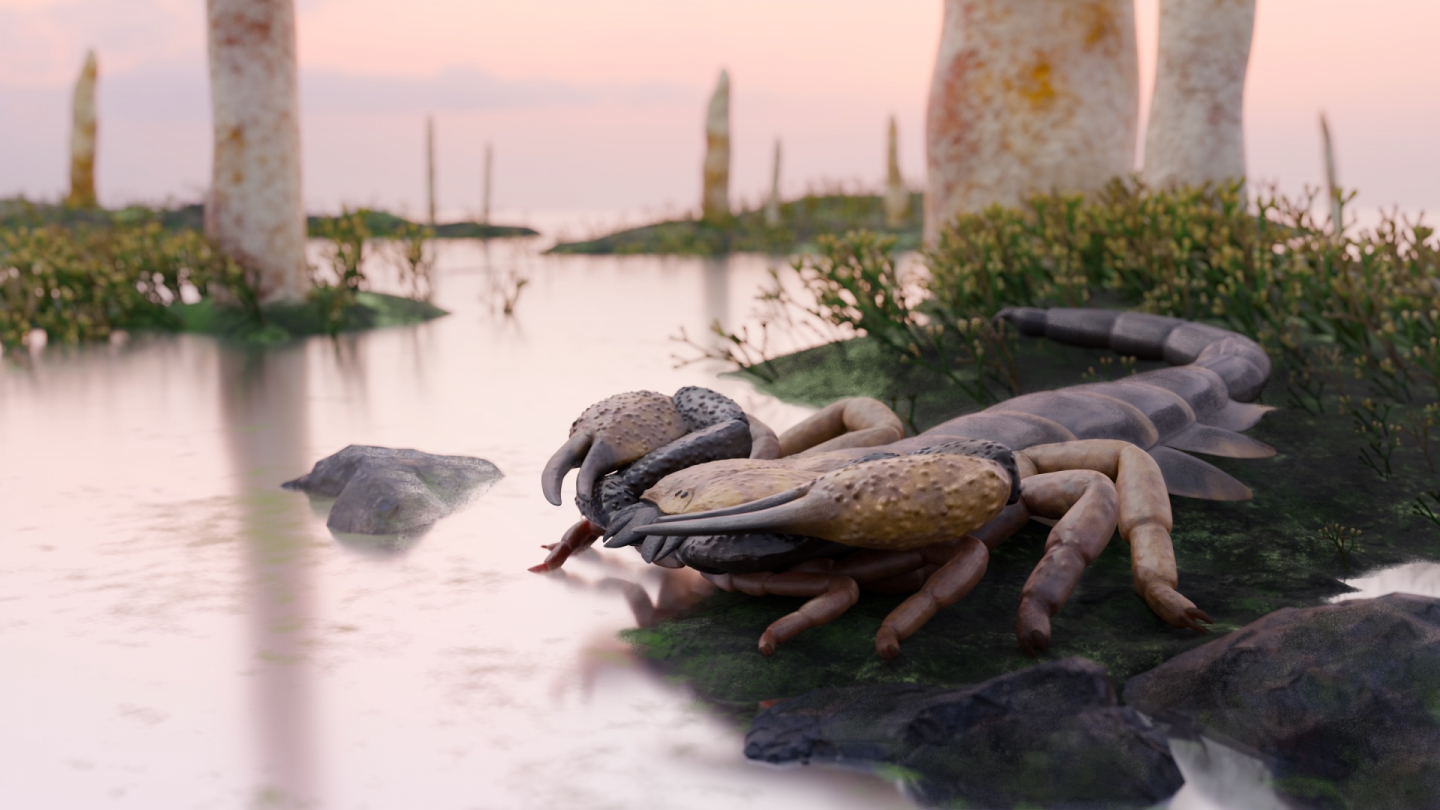 415-Million-Year-Old Fossils Reveal Earth's Largest Scorpion ...