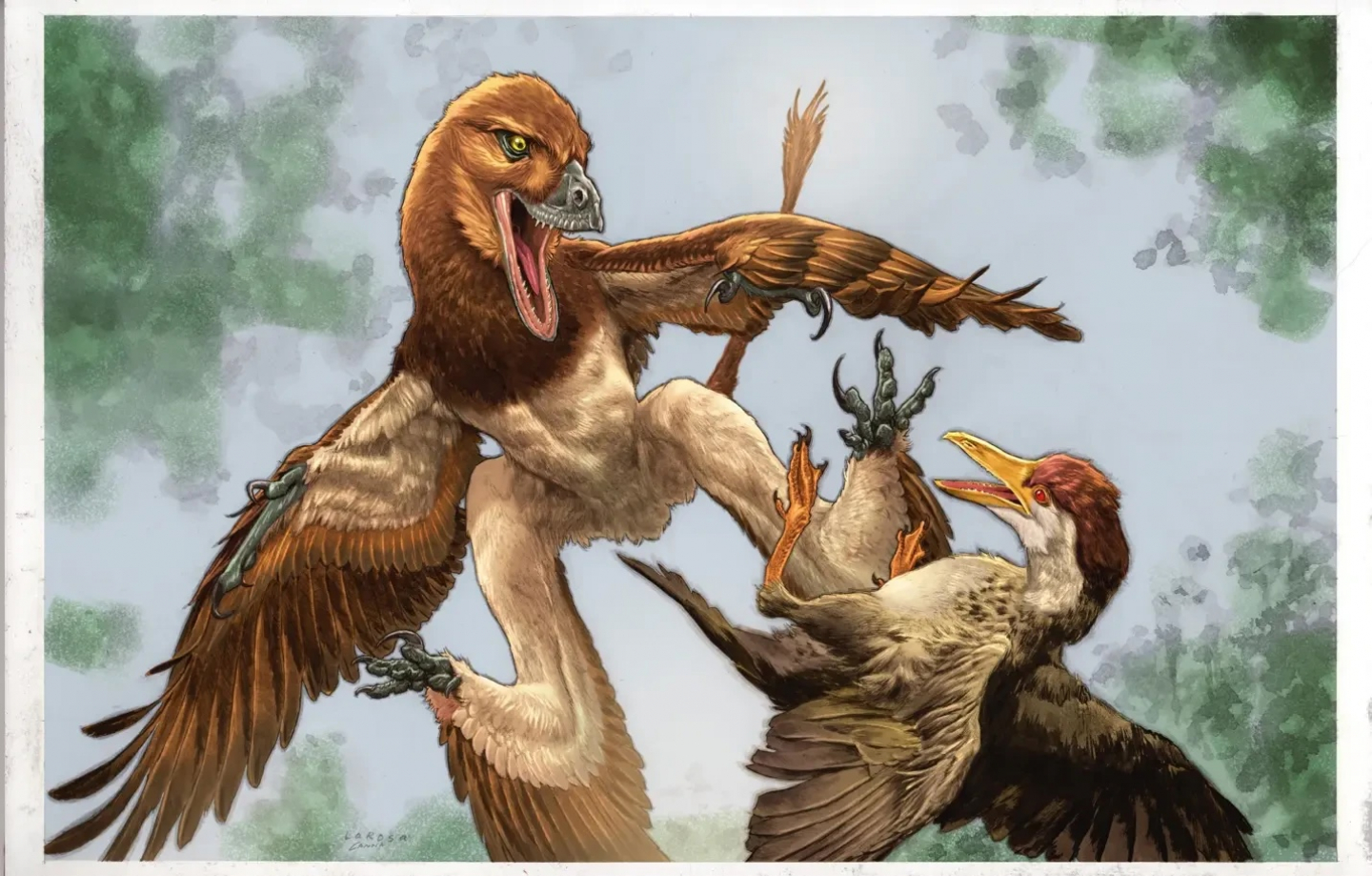 New Cousin of Velociraptor Likely Glided on Four 'Wings' | RealClearScience