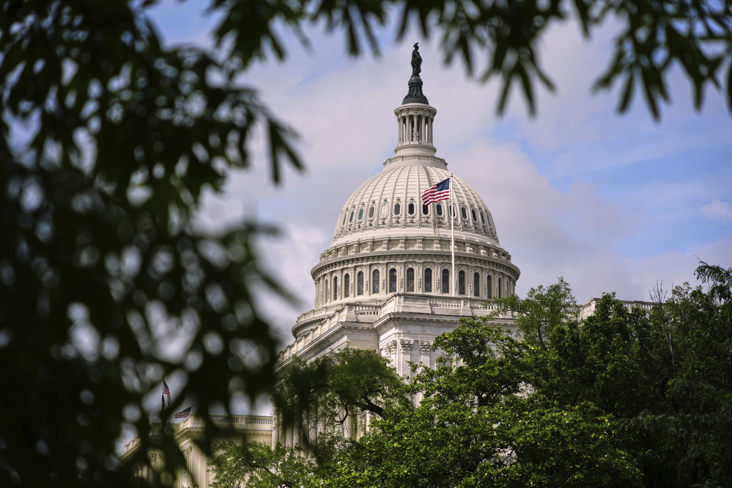 Congress Has Become a Task Force. It Should Govern Like a Board ...